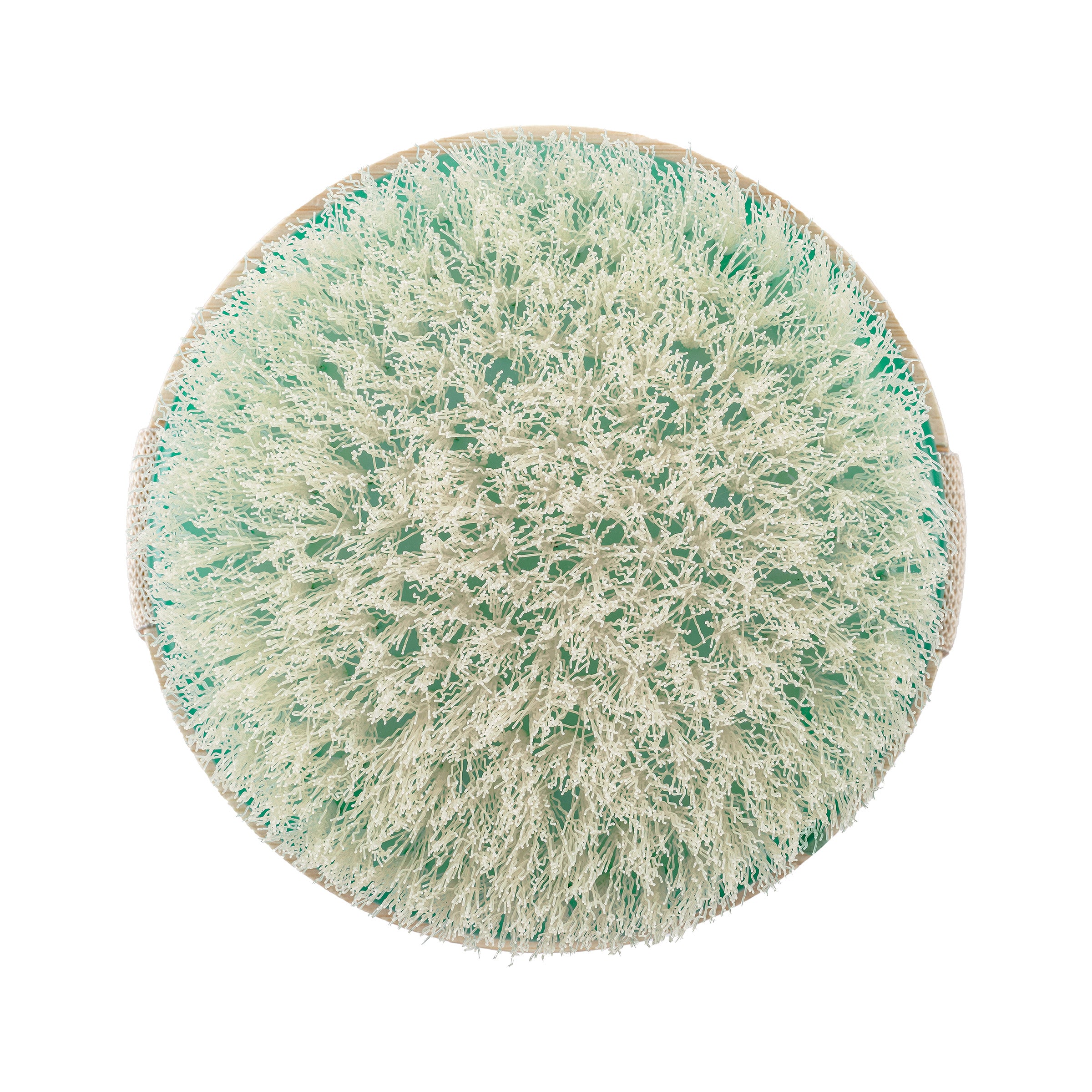 EcoTools Limited Edition Dry Body Brush, 1 Count – EcoTools Beauty