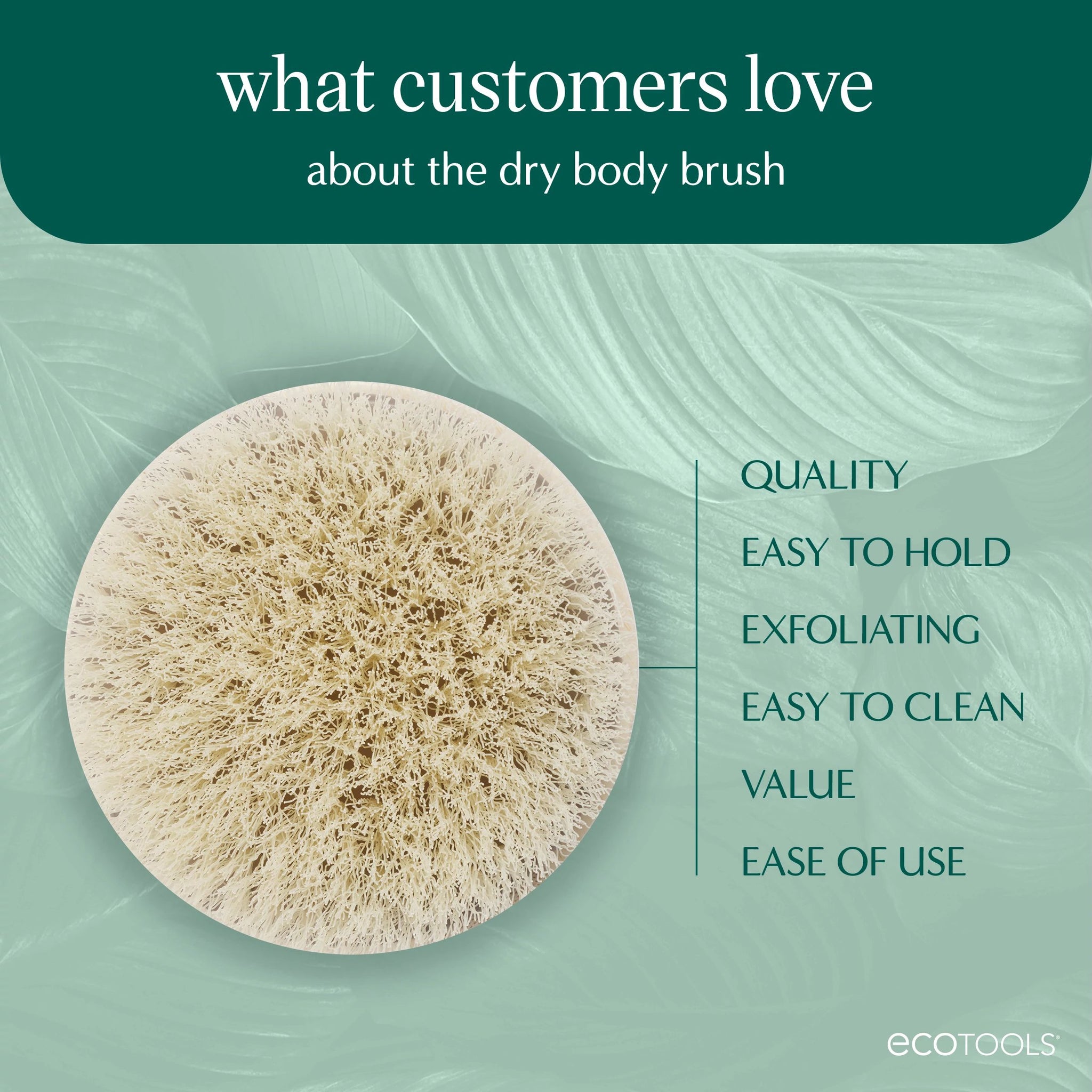 Dry Body Brush, Pink – EcoTools Beauty
